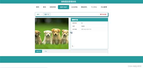 【开题报告】ssm宠物医院管理系统921o9计算机毕业设计程序宠物医院管理系统的主要任务和研究内容怎么写 Csdn博客