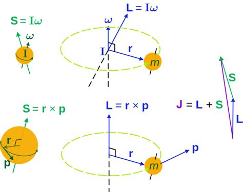 Spin Angular Momentum Reading Feynman