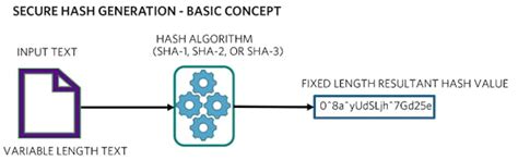 Cryptographic Algorithms Electronic Design
