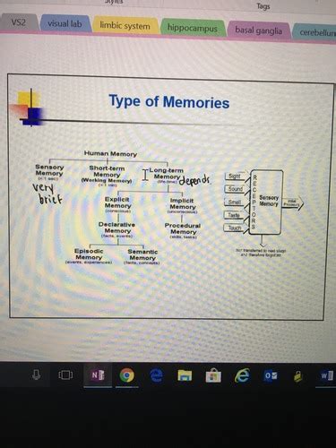 Learning And Memory Flashcards Quizlet Learning And Memory Flashcards Quizlet