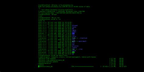 Mastering Linux Terminal Essential Commands For Beginners Dev Community
