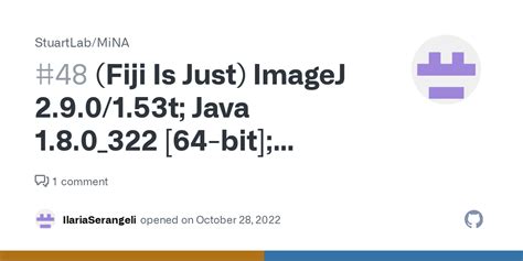 fiji is just imagej 2 9 0 1 53t java 1 8 0 322 [64 bit] windows 10