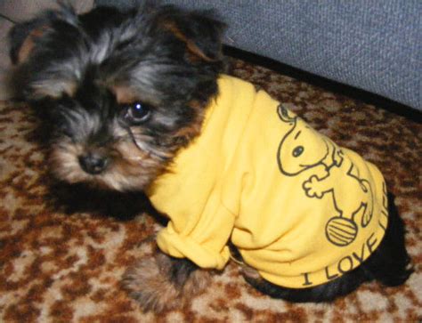 My New Bub Looking Cute By Gracies Stock On Deviantart