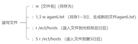 Shell与vim编辑器入门 Csdn博客 Shell与vim编辑器入门 Csdn博客