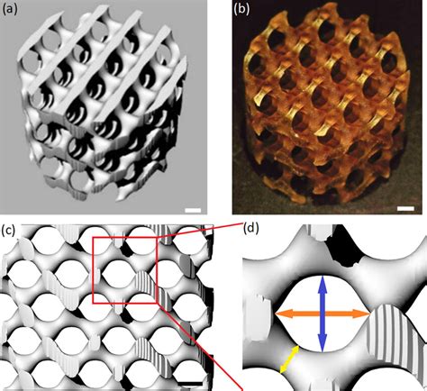 A Cad Model And B Picture Of Sla Manufactured Pcl Structure Of Download Scientific Diagram