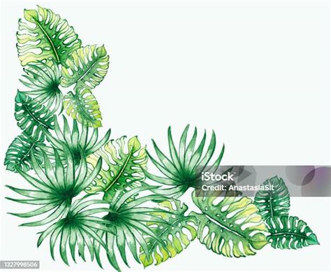 열대 야자수 잎으로 만든 수채화 골드 프레임 열대 장식 엽서 웨딩 디자인 녹색 여름 잎 몬스타 손바닥 잎 0명에 대한 스톡 벡터 아트 및 기타 이미지 Istock