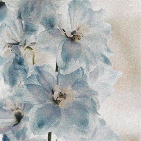 Тест турнир самый красивый вижуал