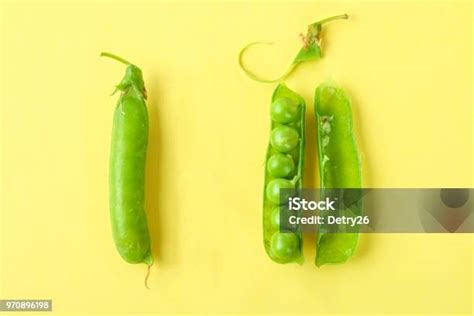 완두콩 콩 깍 지 잎 및 밝은 파스텔 배경에 완두콩 꽃 꽃 레이아웃입니다 곡초류에 대한 스톡 사진 및 기타 이미지 곡초류 노랑 녹색 완두콩 Istock