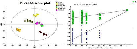 partial least squares discrimination analysis pls da score plot and