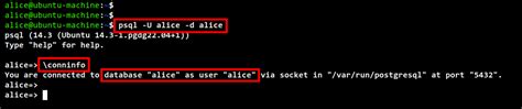 How Do I Install PostgreSQL On Ubuntu VITUX