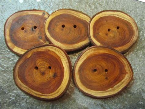 Large Yew Wood Tree Branch Buttons