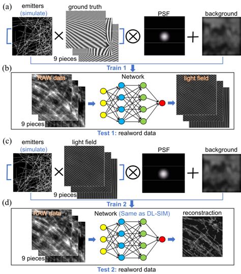 [논문 리뷰] Enhancing Deep Learning Based Structured Illumination Microscopy Reconstruction With