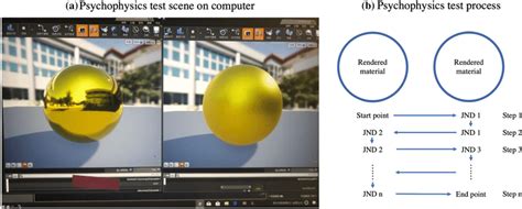 The Test Scenes Are Used For The Psychophysics Experiment Download