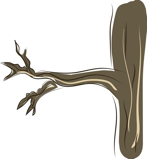 Tree Branch Illustration Vector On White Background Vector Art At Vecteezy