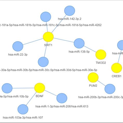 Molecular Interactions Between Neuronal Proteins And Mirnas Governing