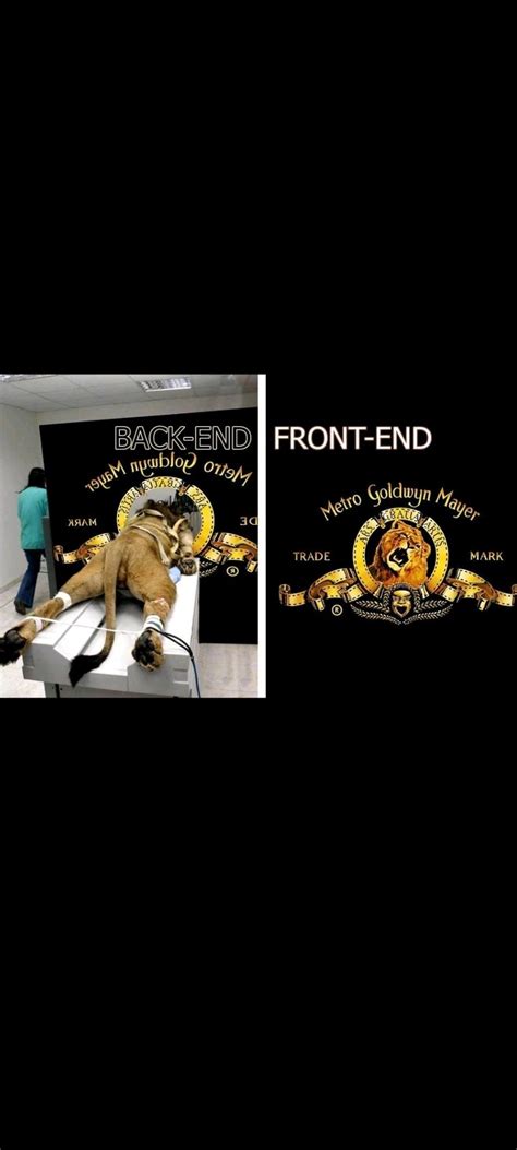 Muhammad Muneeb On Linkedin Pregramming Webdevelopment Fun