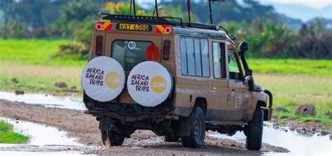 Parque Nacional Tsitsikamma Safari Africano