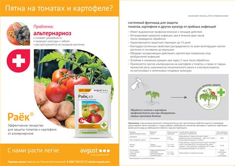 Раёк® – купить препарат Раёк® оптом по цене производителя «АВГУСТ»