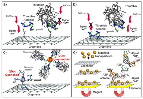Biosensors Free Full Text Graphene And Other Nanomaterial Based Electrochemical Aptasensors