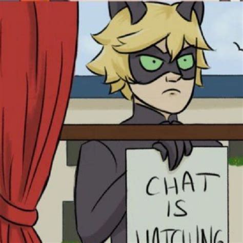 Pin By Maria Thibodeaux On Miraculous Ladybug Miraculous Ladybug