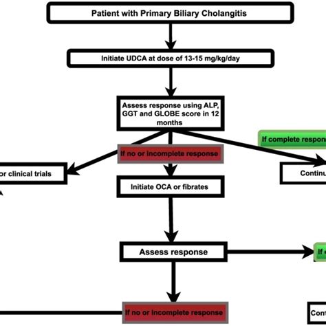 Criteria For Predicting Outcomes In Primary Biliary Cholangitis Download Scientific Diagram