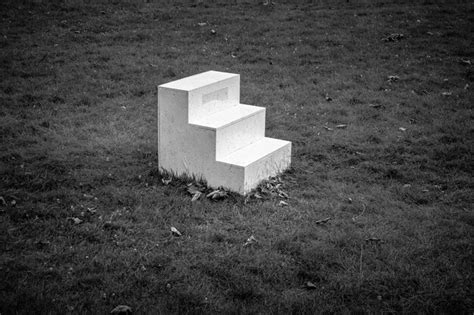 Premium Photo High Angle View Of Steps On Grassy Field