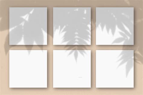 복숭아 벽 배경에 흰색 질감 종이 6 평방 시트 식물 그림자가 있는 모형 오버레이 자연광은 이국적인 식물에서 그림자를 투사합니다