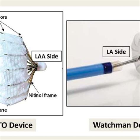 Percutaneous Left Atrial Appendage Closure Devices The Plaato Device