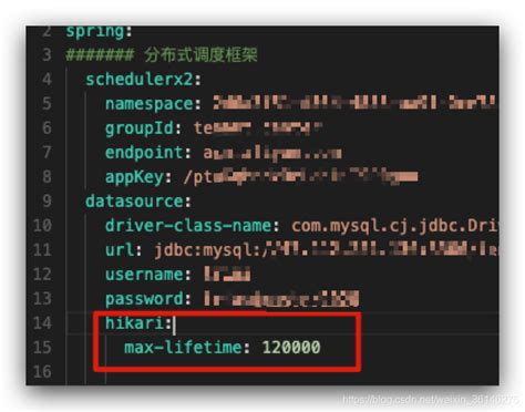 hikaricp配置max lifetime csdn博客