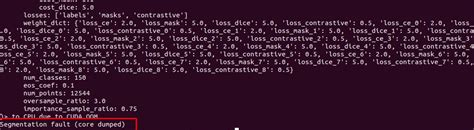 Onnx Conversion And C Implementation · Issue 72 · Shi Labs