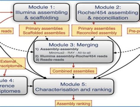 Stringtie Improved Reconstruction Of A Transcriptome From Rna Seq Reads Rna Seq Blog