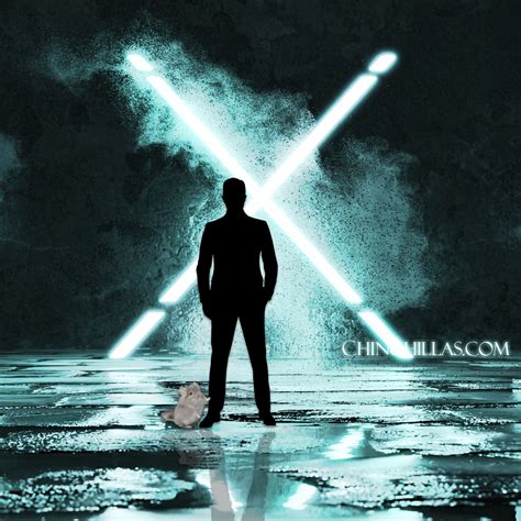 The Elusive Mr X And The Violet Chinchilla