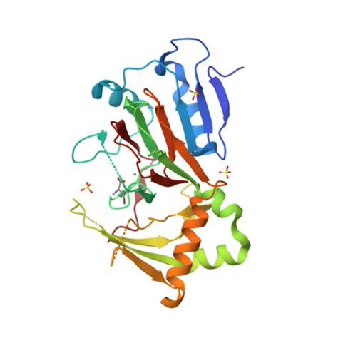 Rcsb Pdb 7tcl Crystal Structure Of Pisnb Complexed With Tyrosine