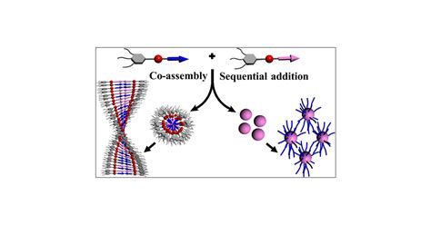 pathway complexity in supramolecular copolymerization and blocky star