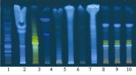 Tlc Finger Print Profile Of Chloroform Fractions And Ingredients Of