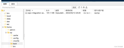 Jenkins 连接远程服务器报错 Error Exception When Publishing Exception Message