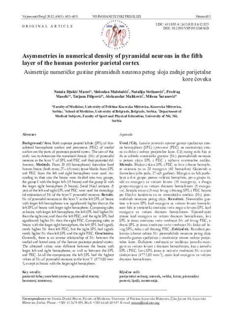 Pdf Asymmetries In Numerical Density Of Pyramidal Neurons In The