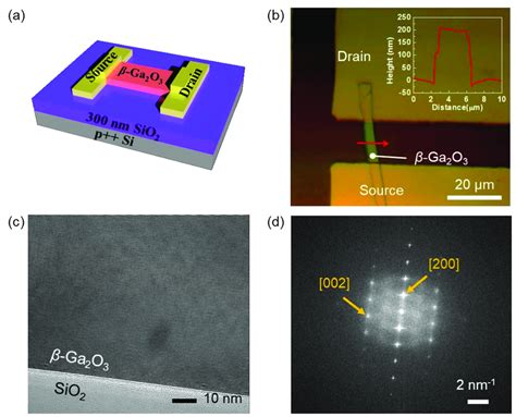 A Schematic Of The β Ga 2 O 3 Field Effect Transistor B Optical Download Scientific