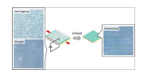 Geometry Control Of Wrinkle Structures Aligned On Hydrogel Surfaces Langmuir