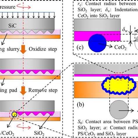 Schematic Of A Sic Ecmp With Ps Ceo2 Core Shell Abrasives B