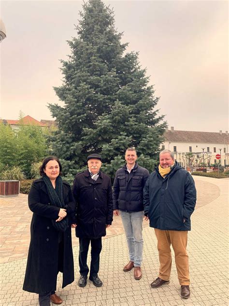 Sárvár Karácsonyfája Is áll és Hamarosan Kezdődik Az Adventi Vásár Is