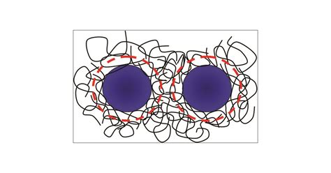 Rheology And Microstructure Of Entangled Polymer Nanocomposite Melts Macromolecules