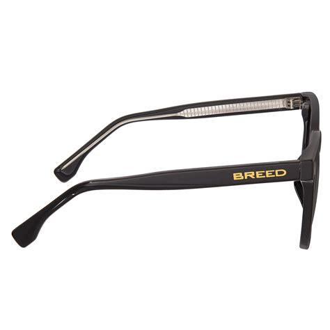 Linux Polarized Sunglasses Black Frame Black Lens Breed