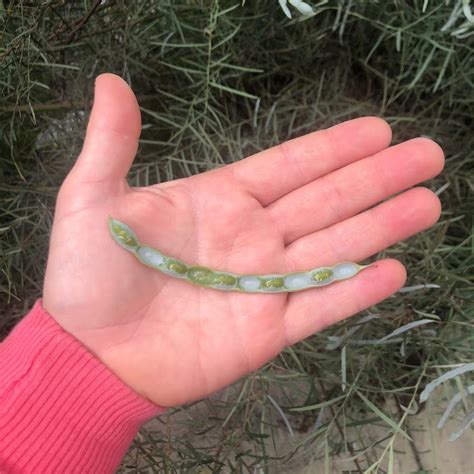 Stephen Steinbrink Youtube