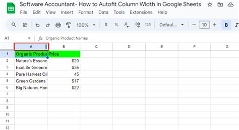 How To Autofit Column Width In Google Sheets 2 Easy Method