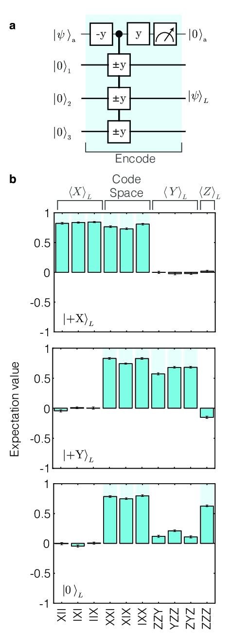 encoding of the logical qubit a encoding an arbitrary quantum state