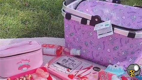 پیک نیک با وسایل کیوت کیتی فیلو