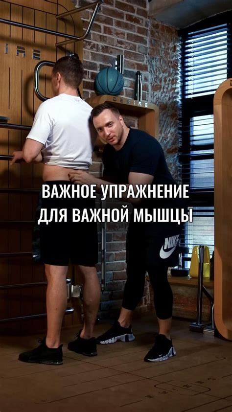 [Видео] «Важное упражнение для квадратной мышцы которое вам точно