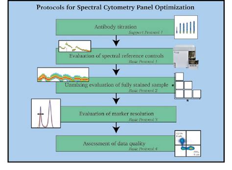 Figure 1 From Spectral Flow Cytometry Expanding Your Research Spectrum