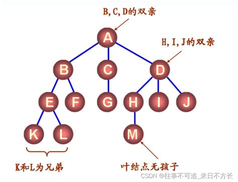 00 data struct tree csdn博客